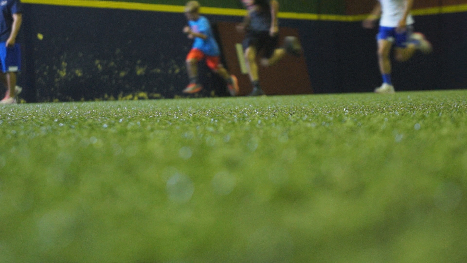 Backyard University – Meet Red Lion